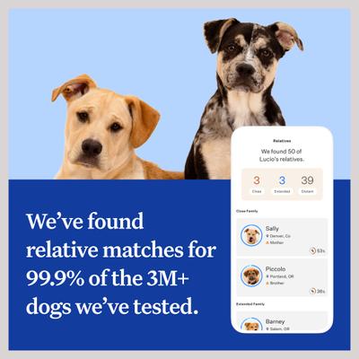 WISDOM PANEL Essential Breed Identification DNA Test for Dogs - Chewy.com