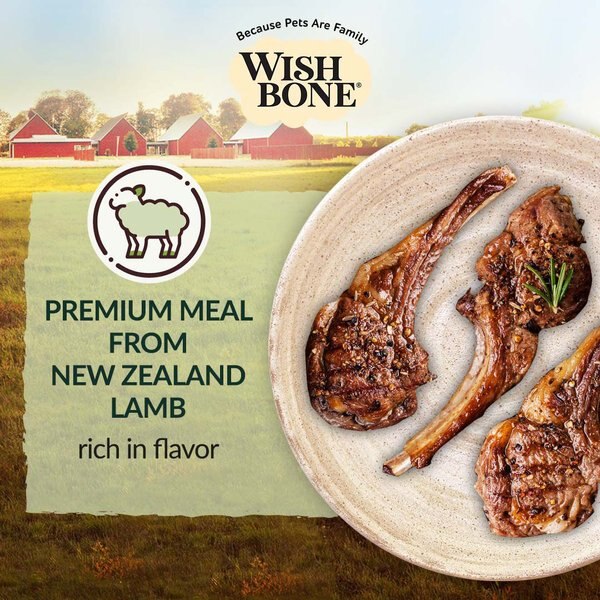 WISHBONE Pasture New Zealand Lamb Adult Grain-Free Dry Dog Food, 4-lb ...