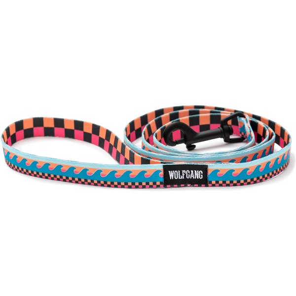 PINK PAPYRUS Spring Floral Polyester Dog Leash, 6-ft long 1-in wide ...