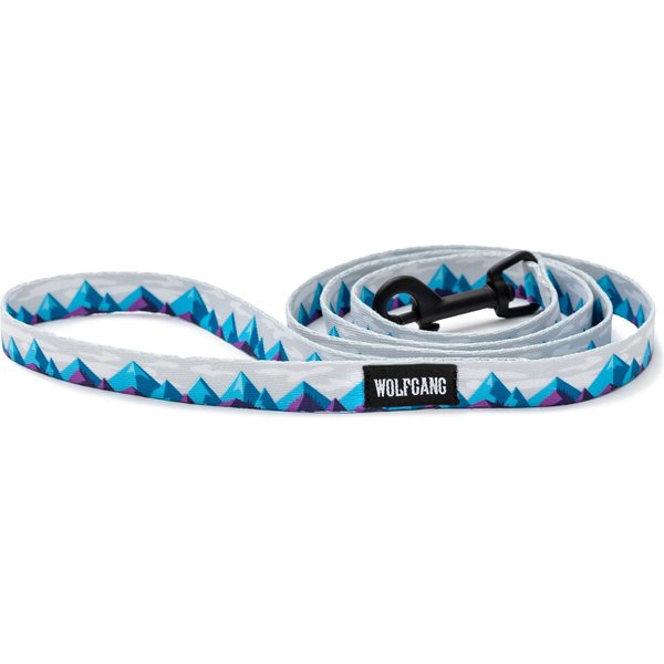 PINK PAPYRUS Spring Floral Polyester Dog Leash, 6-ft long 1-in wide ...