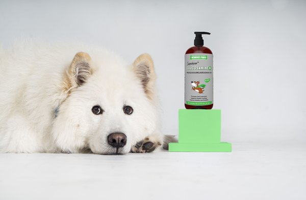 WONDER PAWS Glucosamine Liquid Joint Supplement for Dogs, 16-fl oz ...