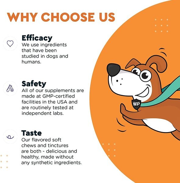 WONDER PAWS Probiotic Superhero Chews Duck Flavor Supplement for Dogs ...