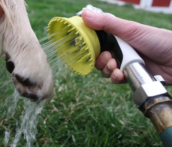 WONDURDOG Dog Washing & Paw Rinse Outdoor Garden Hose Nozzle Attachment ...