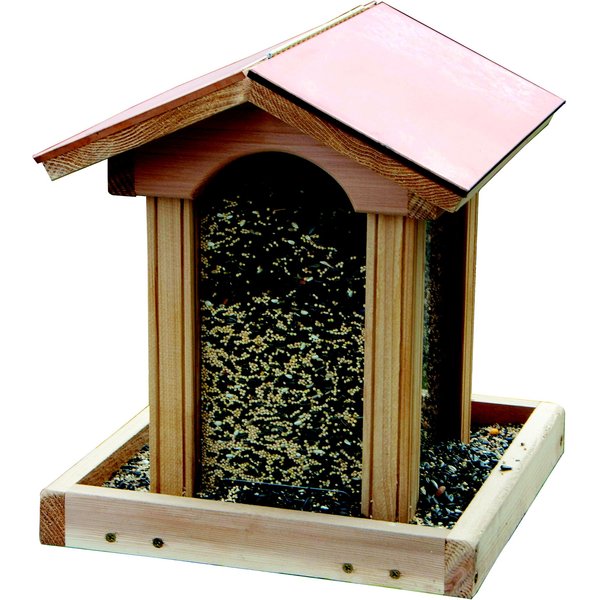 BIRDFY Smart Bird Feeder Camera AI Recognition, 1.5L - Chewy.com