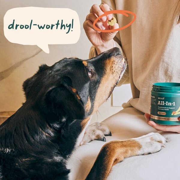 WOOF All-In-1 Beef Flavored Chew Vitamin Supplement for Dogs, 90 count ...