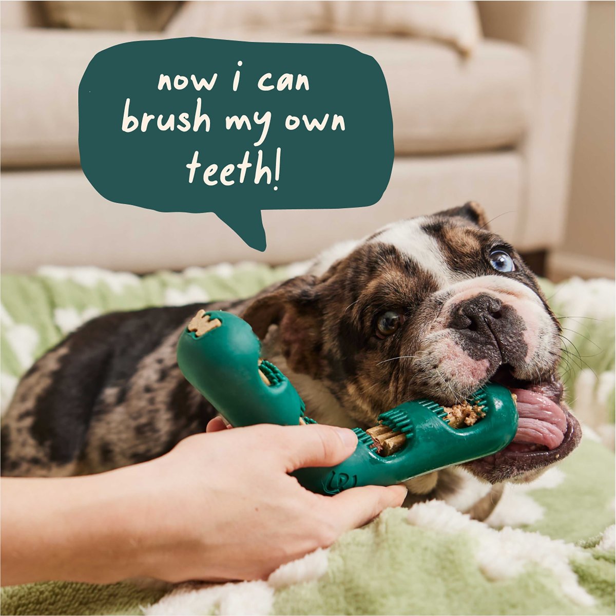 WOOF Bite n' Brush Refill Grain-Free Chicken Sticks Adult Dental Dog ...