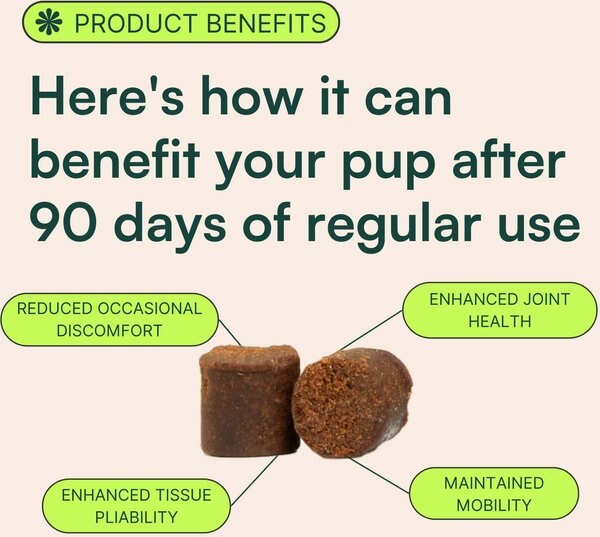 WUFFES Advanced Hip & Joint Supplement with Glucosamine & Chondroitin ...