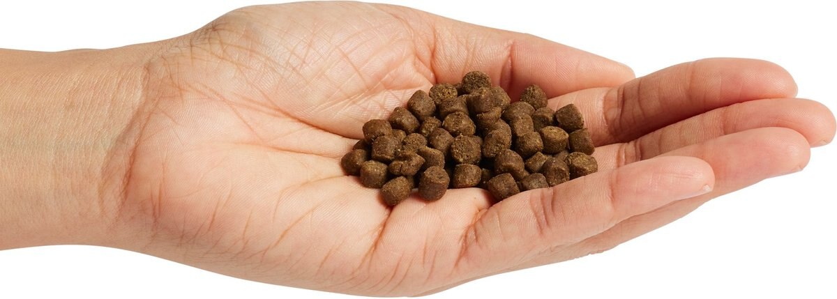 WYSONG Ferret Archetypal 2 Dry Ferret Food, 5-lb bag - Chewy.com