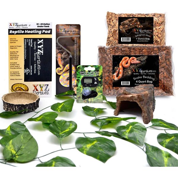 GALAPAGOS Terrarium Starter Kit, Humid - Chewy.com