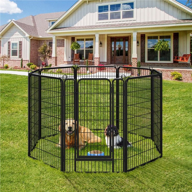 Indoor Dog Kennels (Free Shipping) | Chewy
