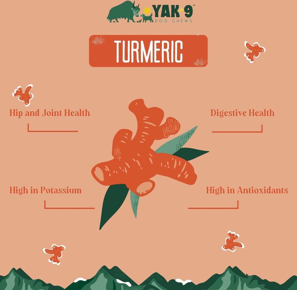 YAK9 CHEWS Turmeric Yak Chew Dog Treat, 2 count, X-Small - Chewy.com