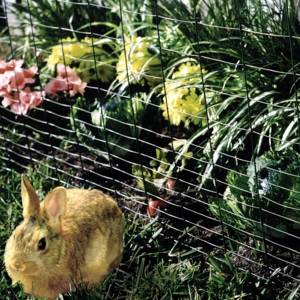 YARDGARD Welded Wire Galvanized Rabbit Fence, 28-in x 50-ft roll ...