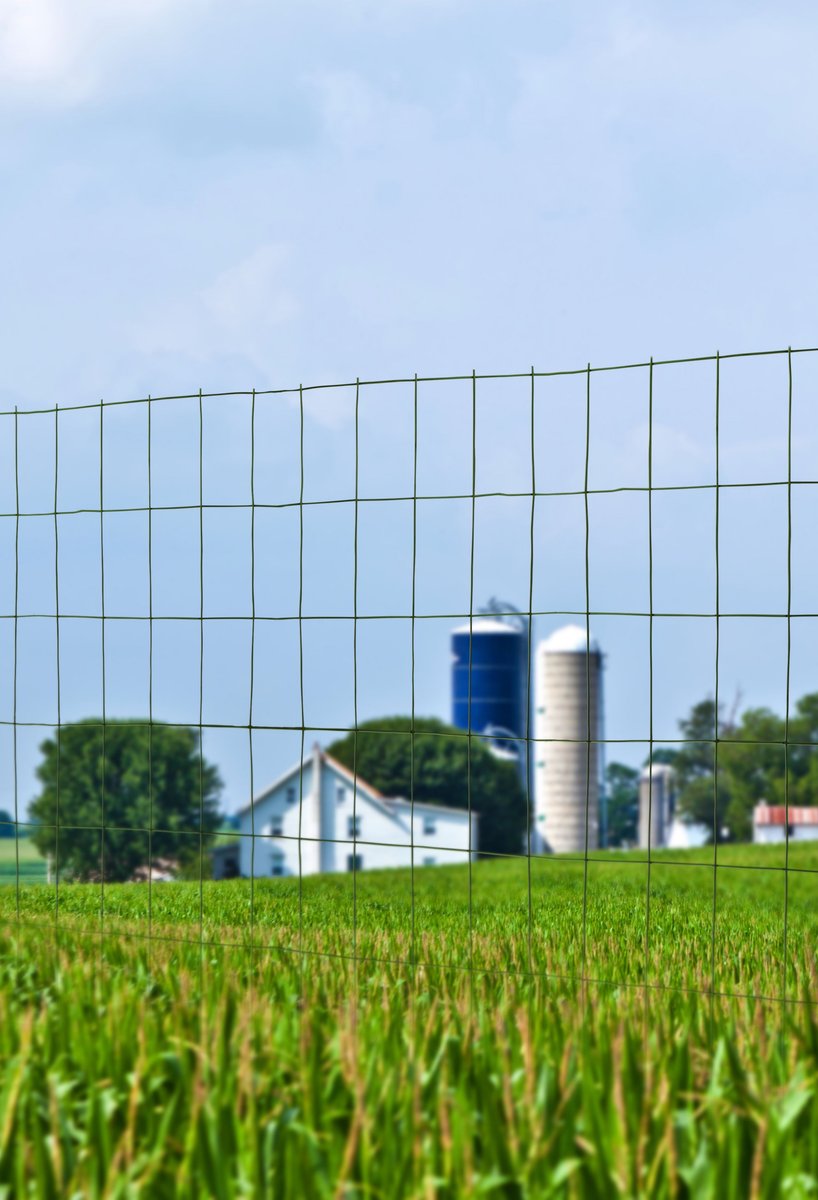 YARDGARD Welded Wire Vinyl 16-Gauge 2x4" Mesh Fence, Green, 48-in x 50 ...