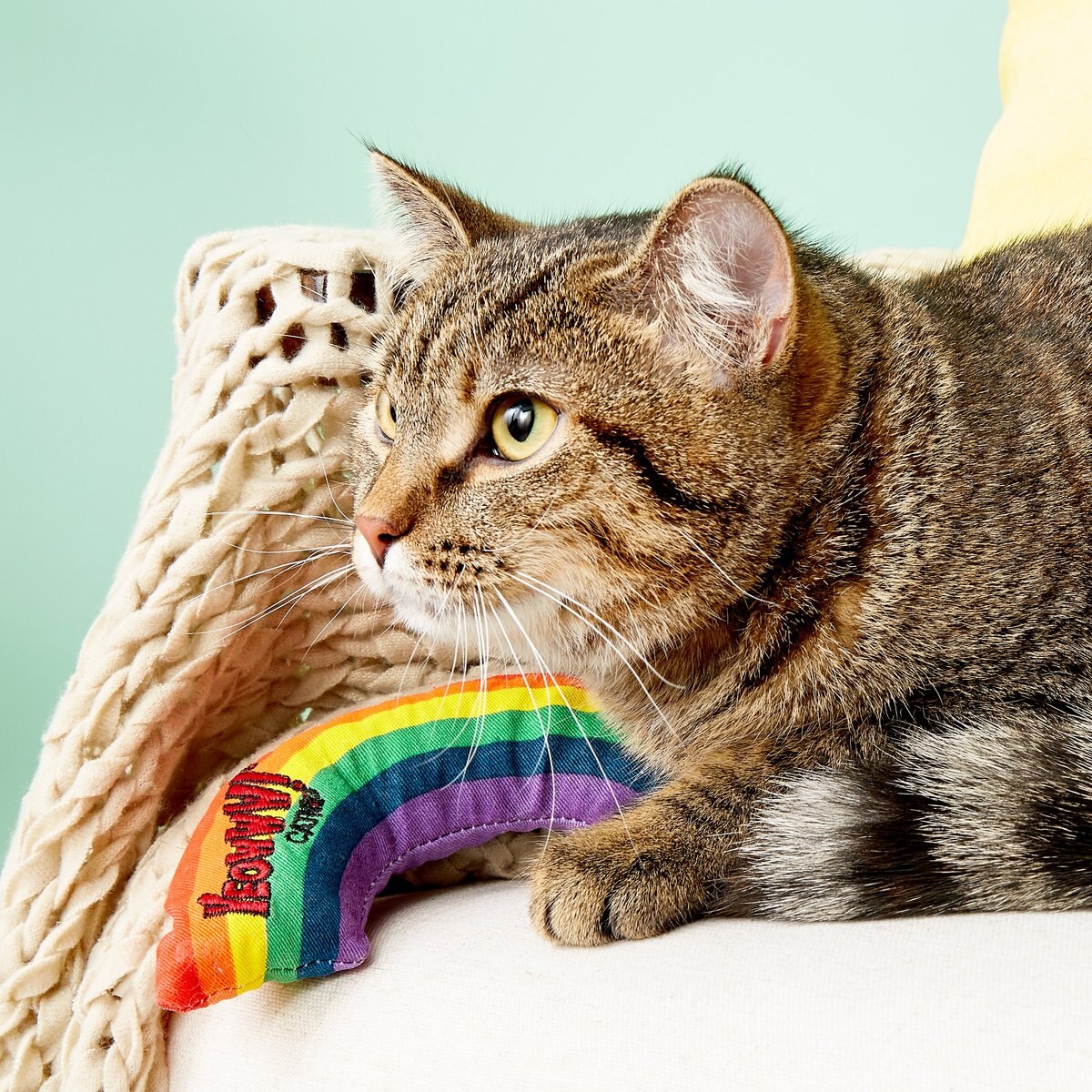 YEOWWW! Catnip Rainbow Cat Toy - Chewy.com