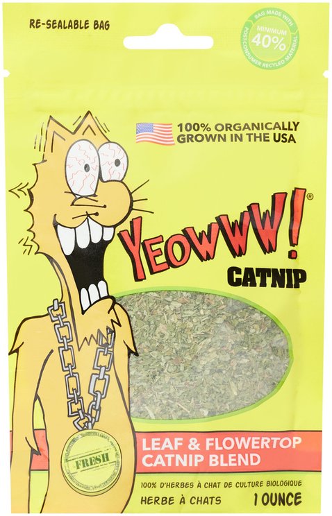 Catnip - Free Shipping | Chewy