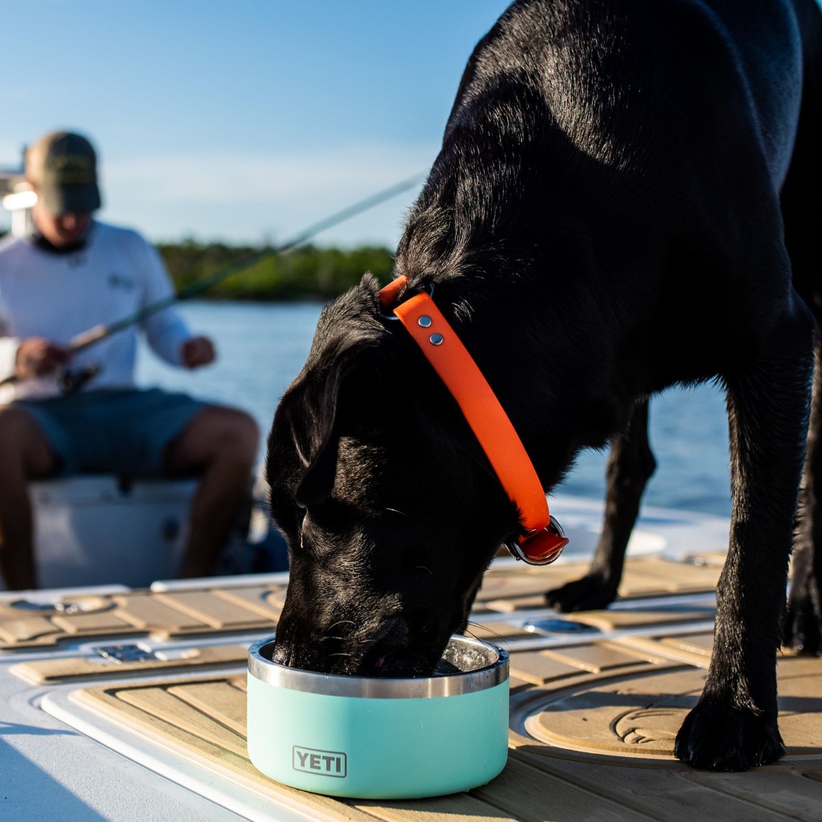 YETI Boomer Dog Bowl, Seafoam, 4-cup - Chewy.com