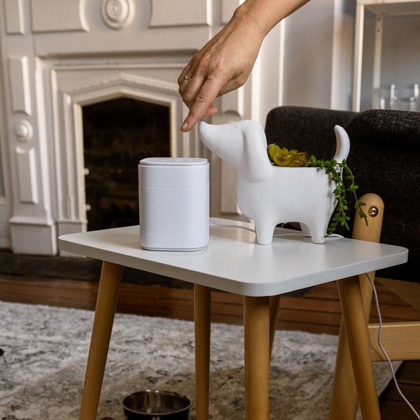 YOGASLEEP Pawzz Home Dog Sound Machine, White - Chewy.com