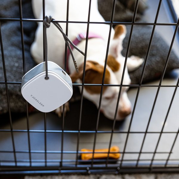 YOGASLEEP Pawzz Travel Dog Sound Machine, White - Chewy.com