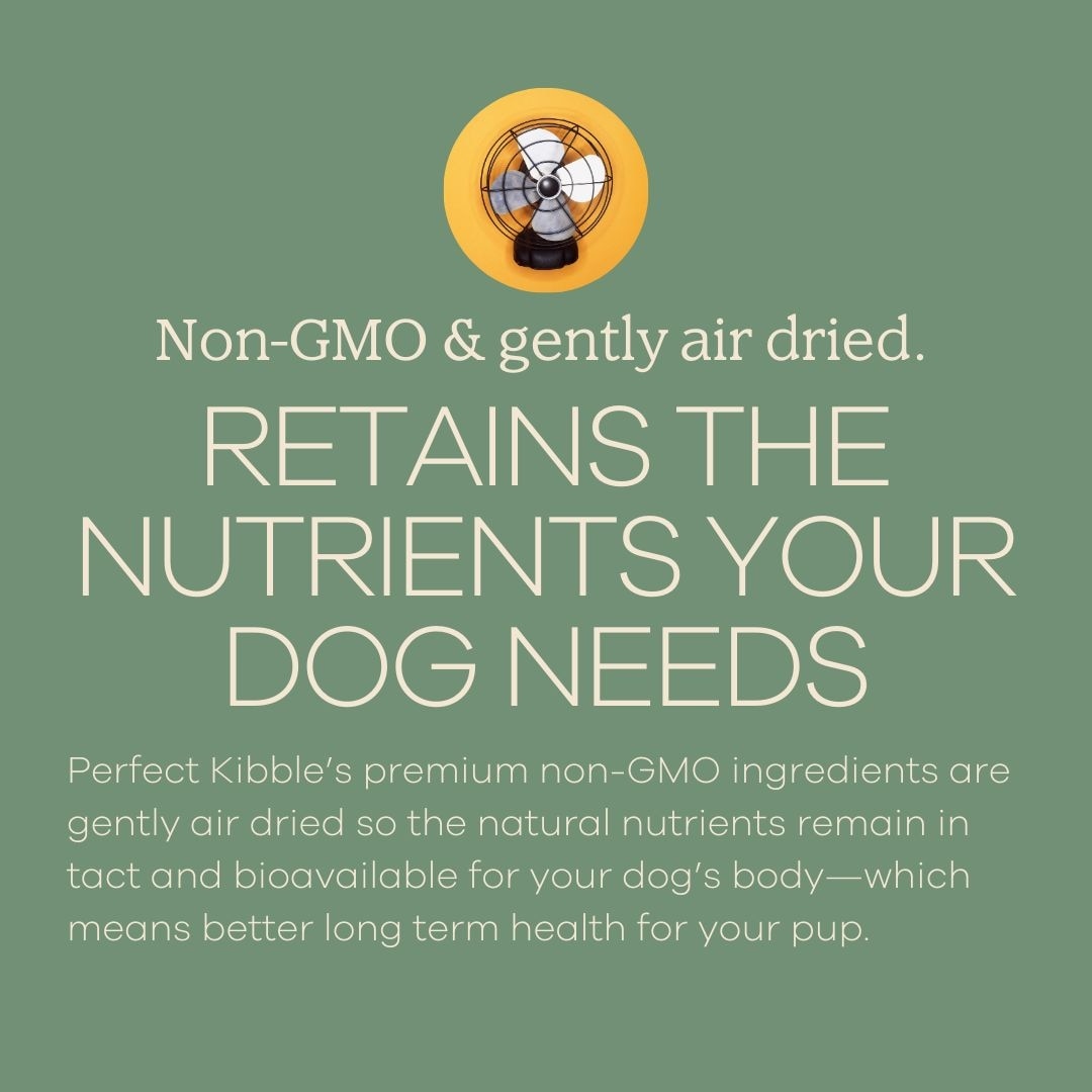 YUMWOOF NATURAL PET FOOD Perfect Kibble Gut Health Coconut Chicken Air ...