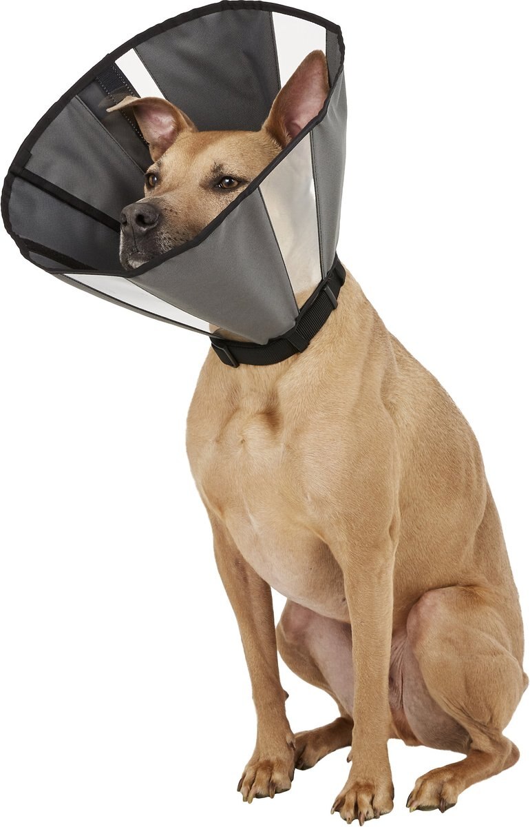 ZENPET ZenCone Soft Recovery Dog & Cat Collar, Large - Chewy.com