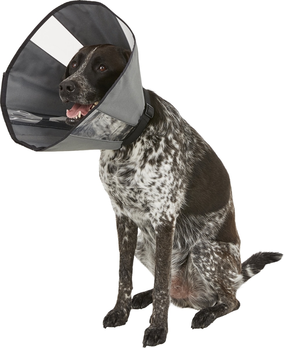 ZENPET ZenCone Soft Recovery Dog & Cat Collar, X-Large - Chewy.com