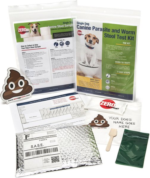ZERO EGG COUNT Parasite & Worm Stool Dog Test Kit - Chewy.com