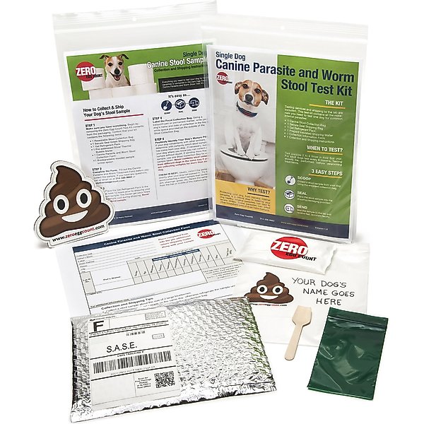 ZERO EGG COUNT Parasite & Worm Stool Dog Test Kit - Chewy.com