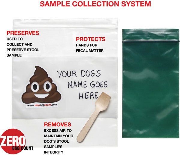 ZERO EGG COUNT Parasite & Worm Stool Dog Test Kit - Chewy.com