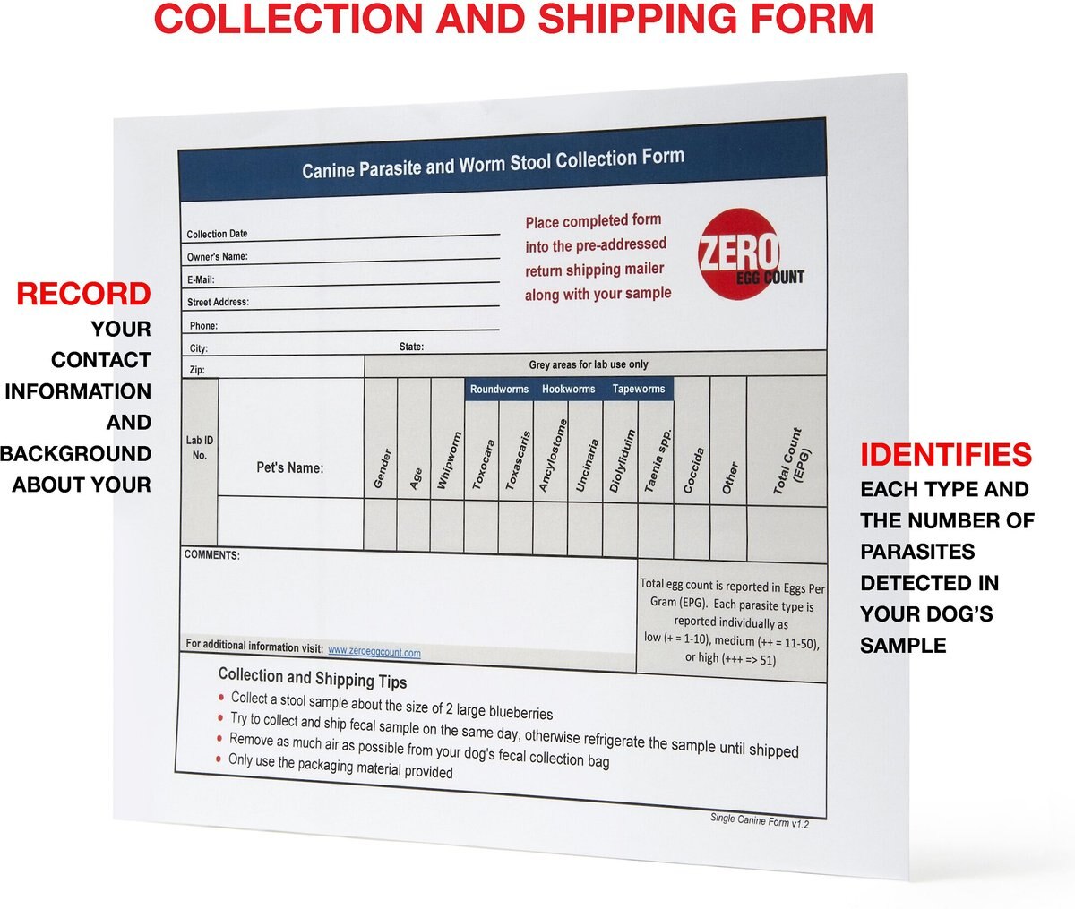ZERO EGG COUNT Parasite & Worm Stool Dog Test Kit - Chewy.com