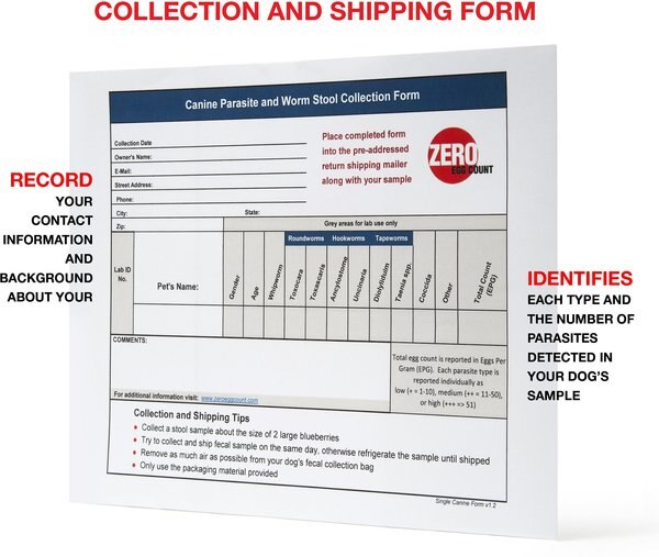 ZERO EGG COUNT Parasite & Worm Stool Dog Test Kit - Chewy.com