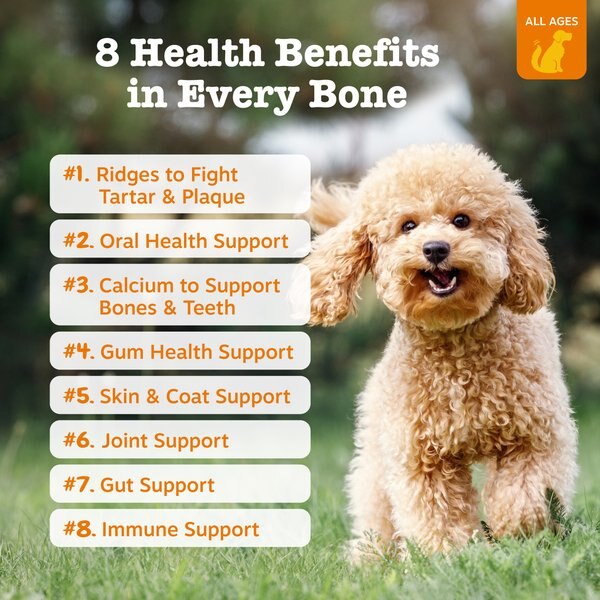 ZESTY PAWS All-in-One FUNctional Dental Bones Dental Chews for Medium ...