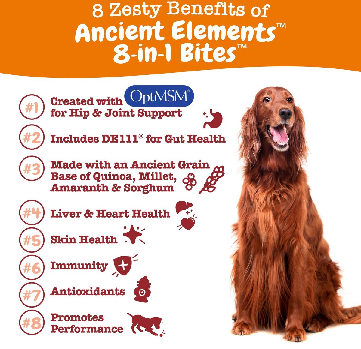 ZESTY PAWS Ancient Elements 8-in-1 Bites Bison Flavored Soft Chews ...