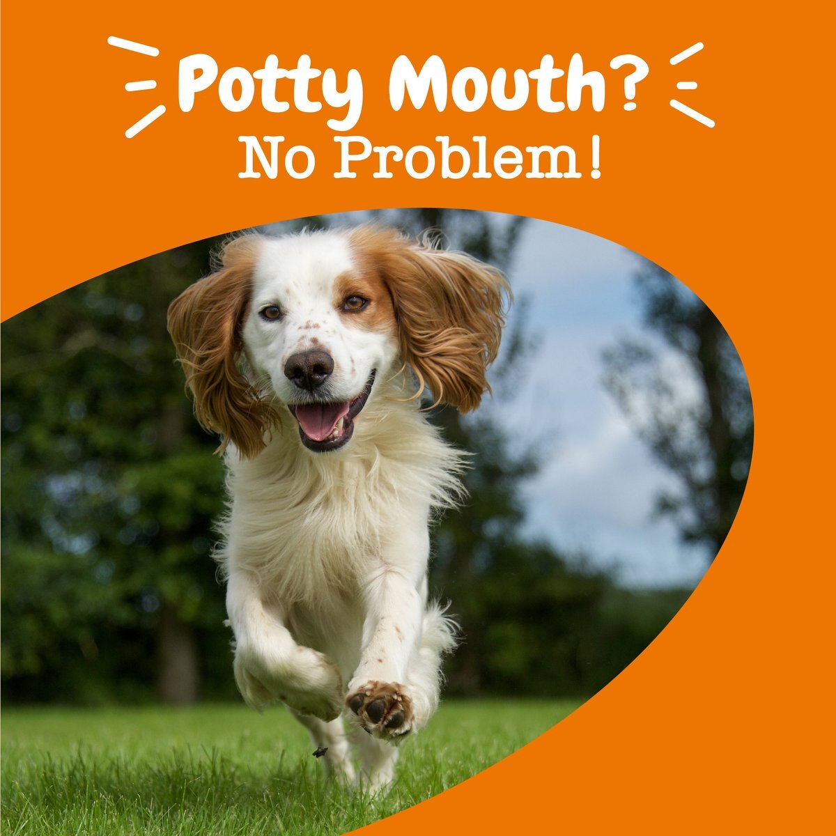 ZESTY PAWS Ancient Elements Chew No Poo Bison Flavored Soft Chews ...