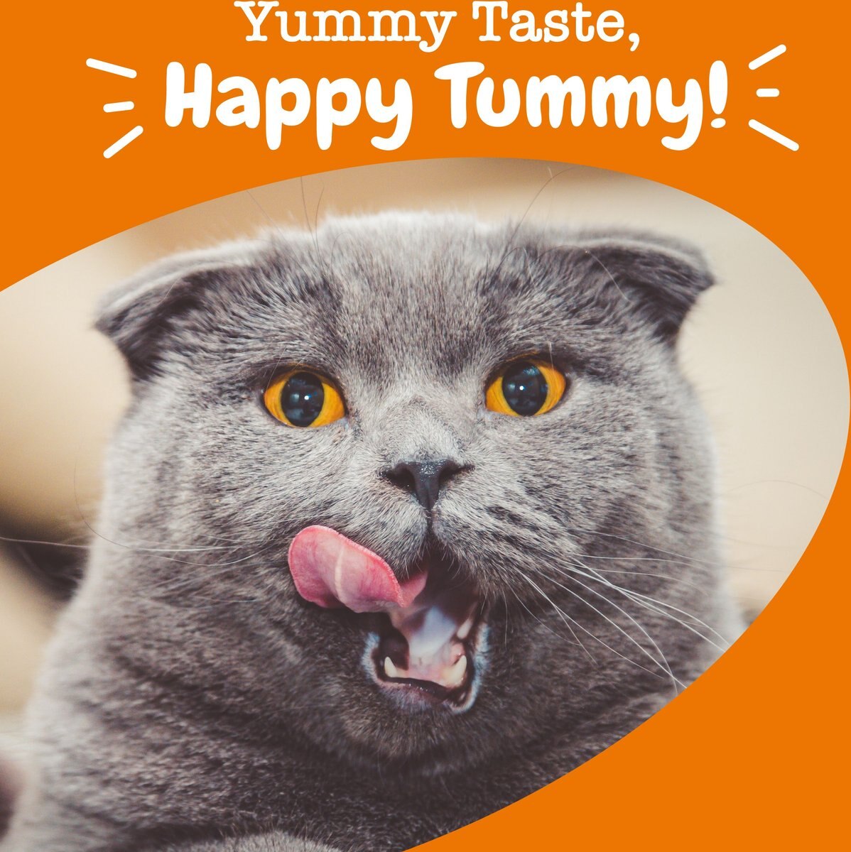 ZESTY PAWS Digestion Gut Health Chicken Mousse Lickable Squeeze ...