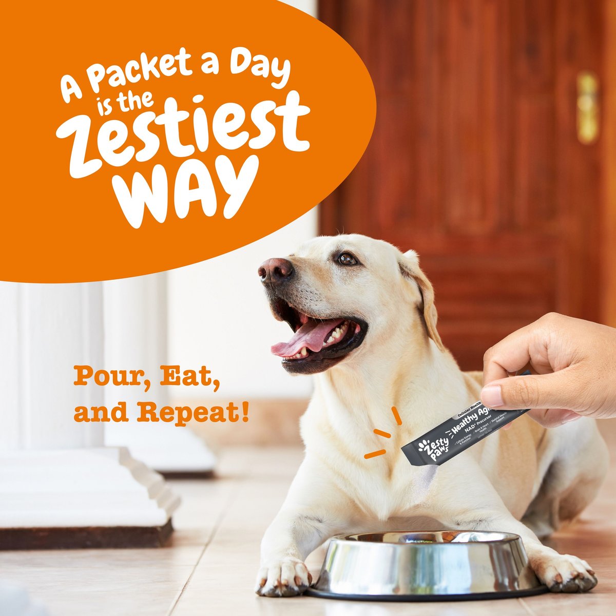 ZESTY PAWS Healthy Aging NAD+ Precursor Cellular Energy, Brain & Heart ...