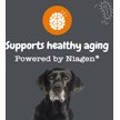 ZESTY PAWS Healthy Aging NAD+ Precursor Cellular Energy, Brain & Heart ...
