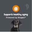 ZESTY PAWS Healthy Aging NAD+ Precursor Cellular Energy, Brain & Heart ...