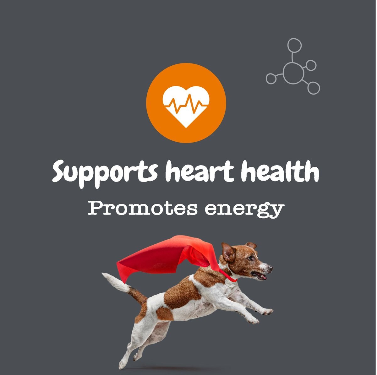 ZESTY PAWS Healthy Aging NAD+ Precursor Cellular Energy, Brain & Heart ...