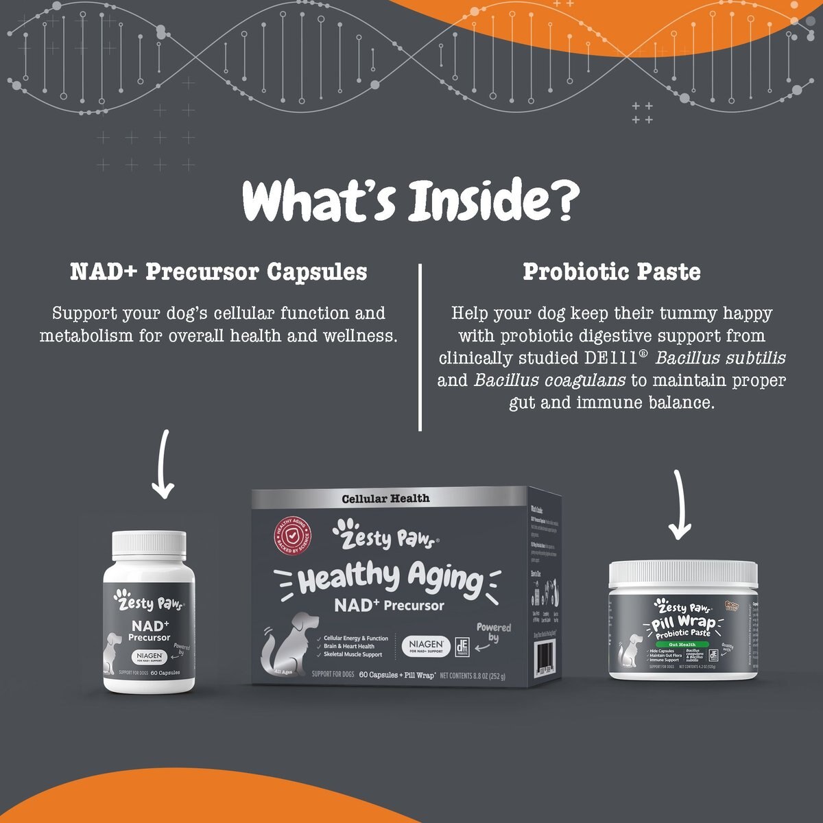 ZESTY PAWS Healthy Aging NAD+ Precursor Cellular Energy, Brain & Heart ...