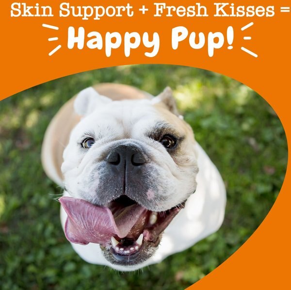 ZESTY PAWS Hemp Elements Omega OraStix Peppermint Flavored Dog Dental ...