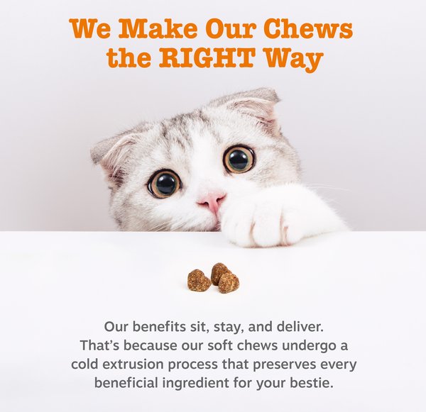 ZESTY PAWS Hemp Elements Plus Calming Bites Bacon Flavored Soft Chews ...
