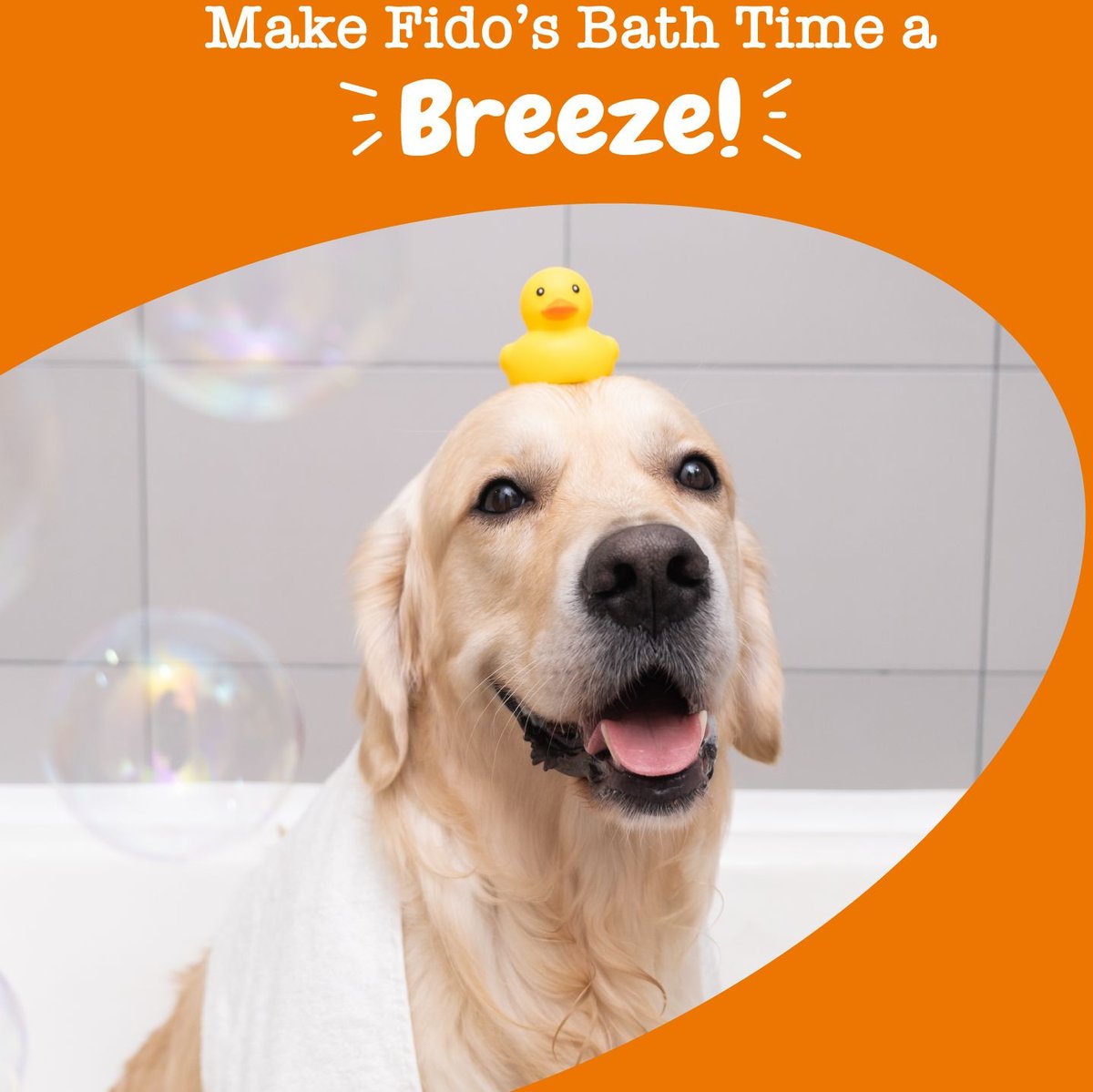ZESTY PAWS Itch Soother Dog Shampoo with Oatmeal & Aloe Vera, for Skin ...