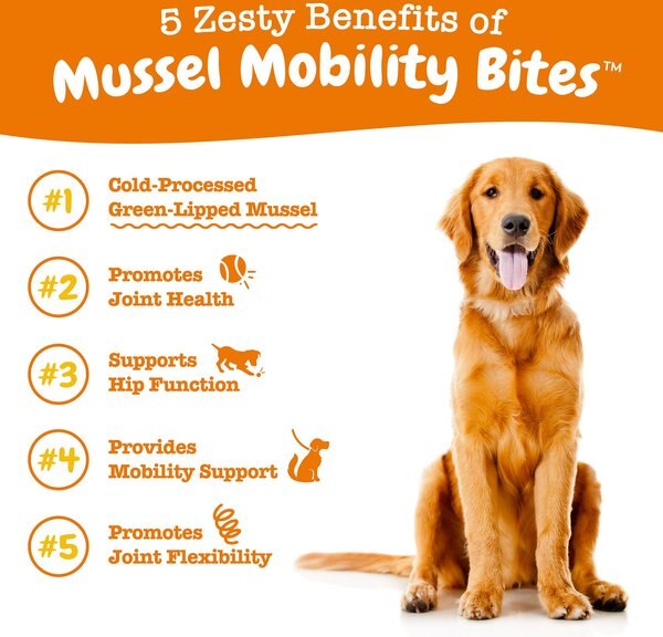 ZESTY PAWS Mussel Mobility Bites Chicken Flavored Soft Chews Hip ...