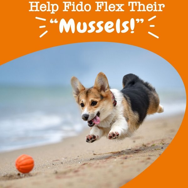 ZESTY PAWS Mussel Mobility Bites Chicken Flavored Soft Chews Hip ...