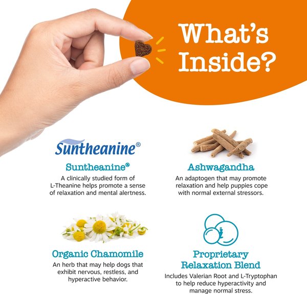 ZESTY PAWS Puppy Calming Bites Behavior Turkey Flavor Soft Chews ...