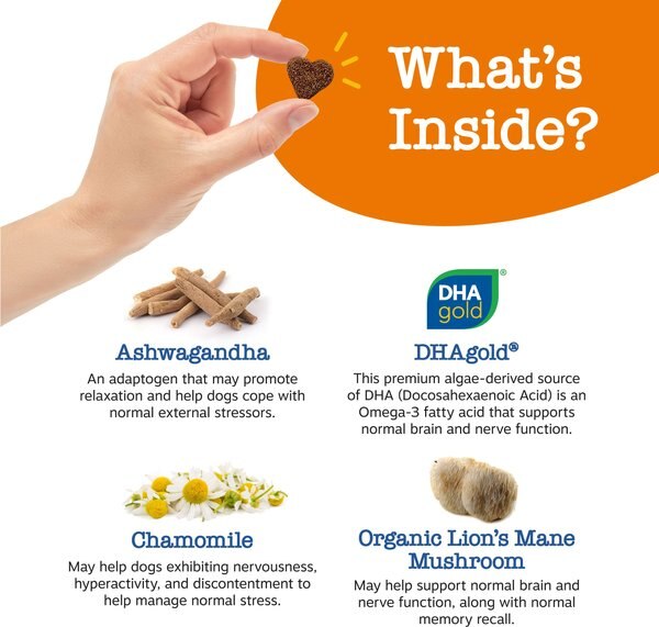 ZESTY PAWS Senior Advanced Calming + Cognition Bites Chicken Flavor ...