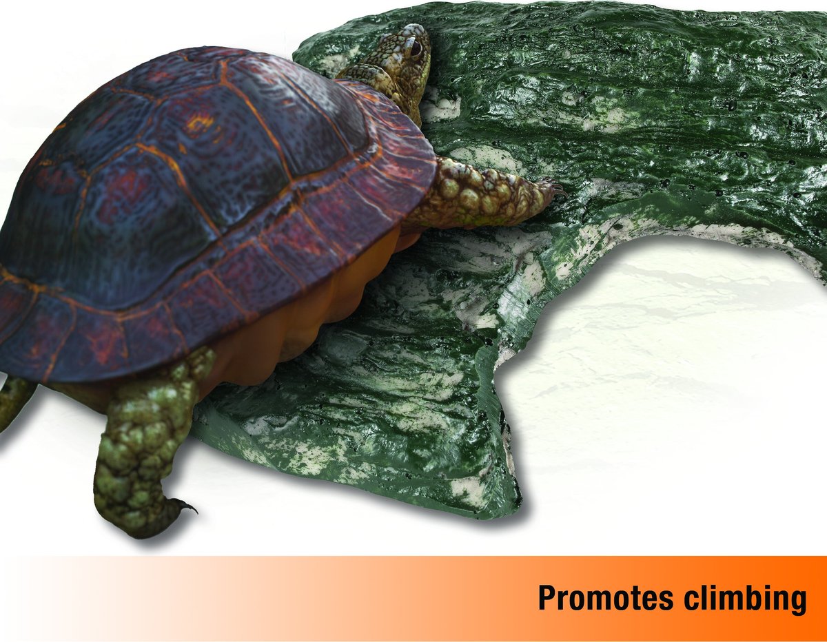 ZILLA Basking Platform Corner Reptile Ramp, Large - Chewy.com