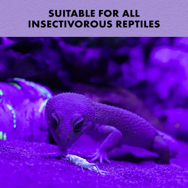 ZILLA Cricket Glow Powder Supplement for Frogs, 4-oz bag - Chewy.com