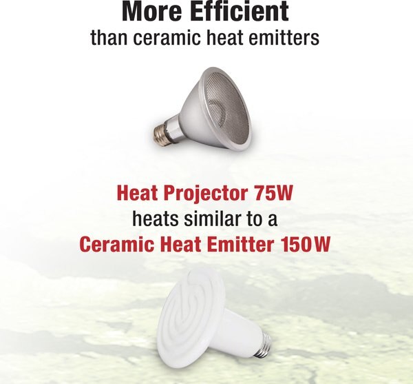 ZILLA Heat Reptile Heat Projector, 50 Watt - Chewy.com