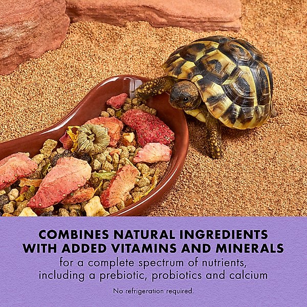 ZILLA Herbivore Medley Diet Bearded Dragon Lizard & Tortoise Food, 4-oz ...